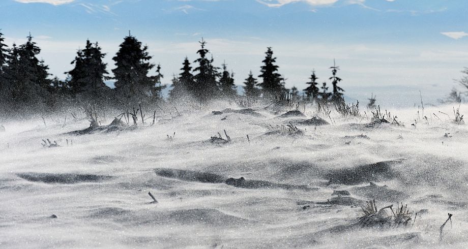 Old Mister Snow – Fellowship & Fairydust